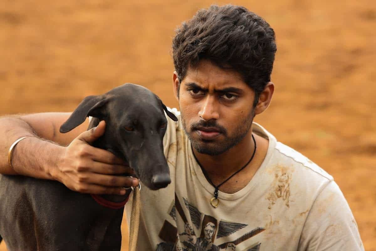 Pariyerum Perumal (2018) Review + Explained!